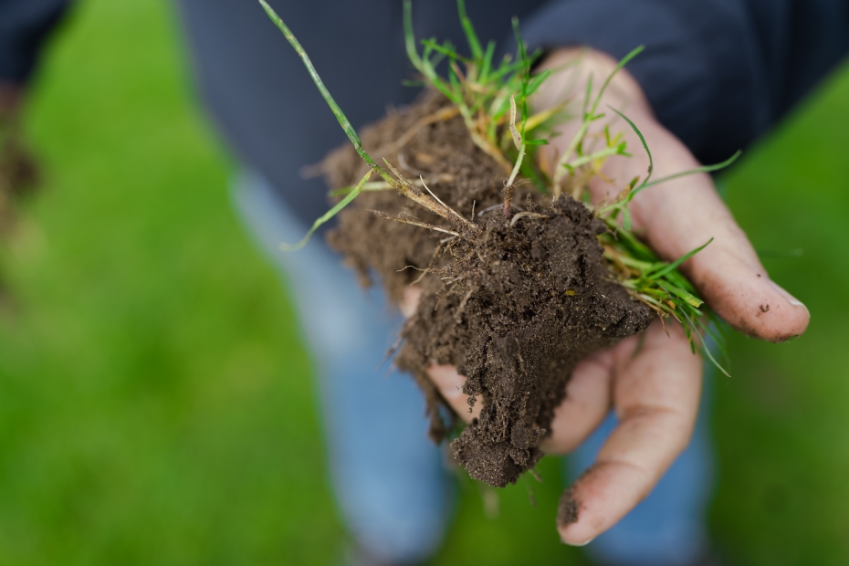 OnkruidVergaat.nl – WANT CHEMISCHE BESTRIJDING IS ZÓ ‘LAST SEASON’
